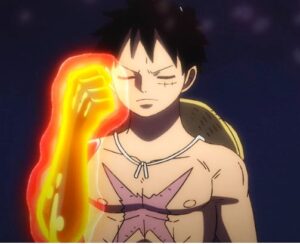 Monkey D Luffy Wiki, Age, Height, Girlfriend, Family, Biography & More ...