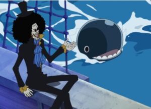 Brook Wiki, Height, Age, Family, Death, Biography & More – Animephied.com