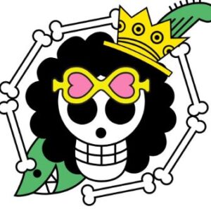 Brook Wiki, Height, Age, Family, Death, Biography & More – Animephied.com