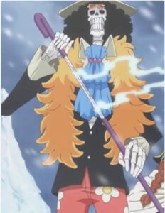 Brook Wiki, Height, Age, Family, Death, Biography & More – Animephied.com