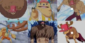 Tony Tony Chopper Wiki, Height, Age, Family, Biography & More ...