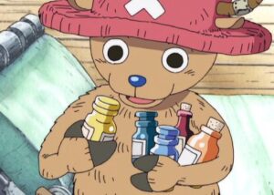 Tony Tony Chopper Wiki, Height, Age, Family, Biography & More ...