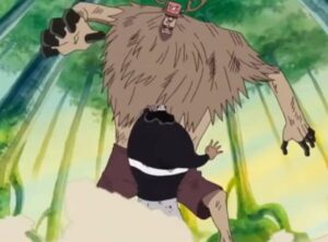 Tony Tony Chopper Wiki, Height, Age, Family, Biography & More ...