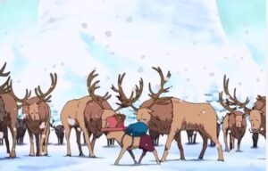 Tony Tony Chopper Wiki, Height, Age, Family, Biography & More ...