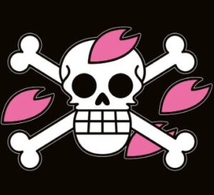 Tony Tony Chopper Wiki, Height, Age, Family, Biography & More ...