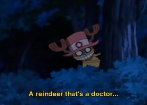 Tony Tony Chopper Wiki, Height, Age, Family, Biography & More ...