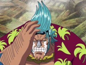 Cyborg Franky Wiki, Height, Age, Family, Biography & More – Animephied.com