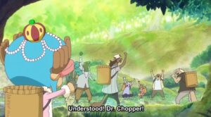 Tony Tony Chopper Wiki, Height, Age, Family, Biography & More ...