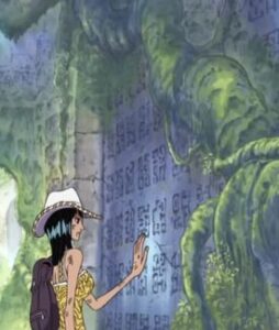 Nico Robin Wiki, Height, Age, Family, Boyfriend, Biography & More ...