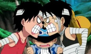 Portgas D. Ace Wiki, Height, Age, Family, Death, Biography & More ...