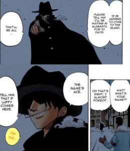 Portgas D. Ace Wiki, Height, Age, Family, Death, Biography & More ...