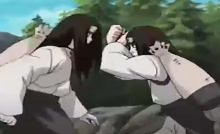 Neji Hyuga (Naruto) Wiki, Age, Death, Biography & More – Animephied.com