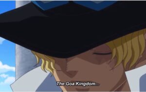 Sabo Wiki, Height, Age, Family, Biography & More – Animephied.com