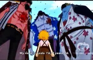 Jinbei (Jimbei) Wiki, Height, Age, Family, Biography & More ...